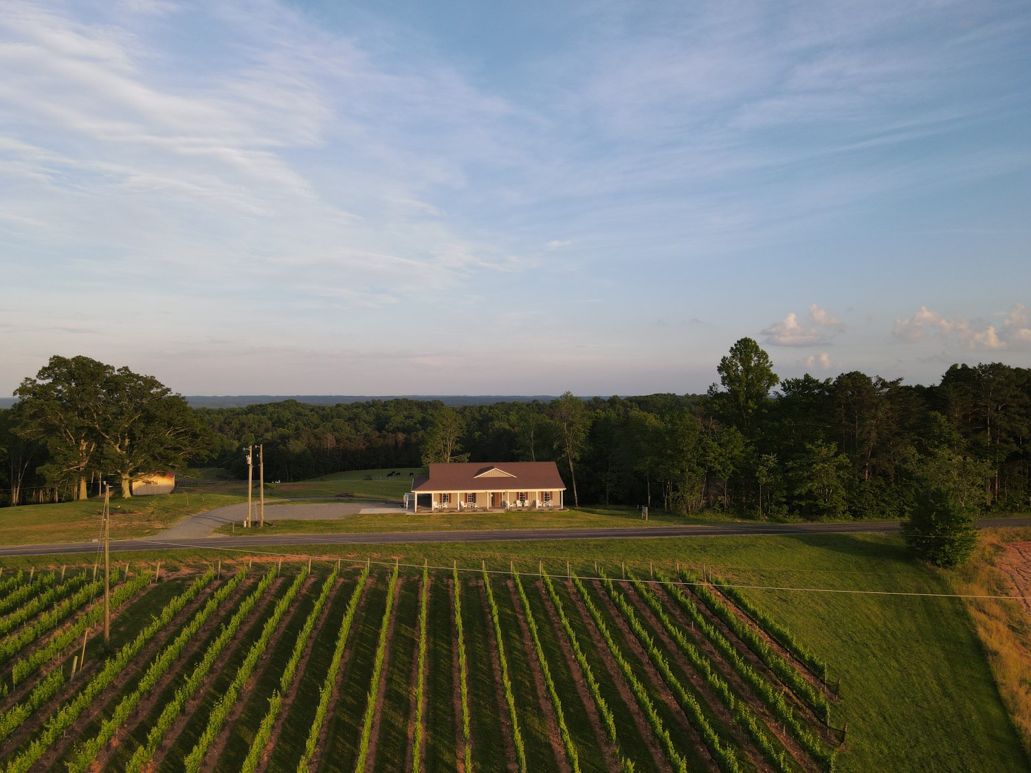 Gallery – Haze Gray Vineyards
